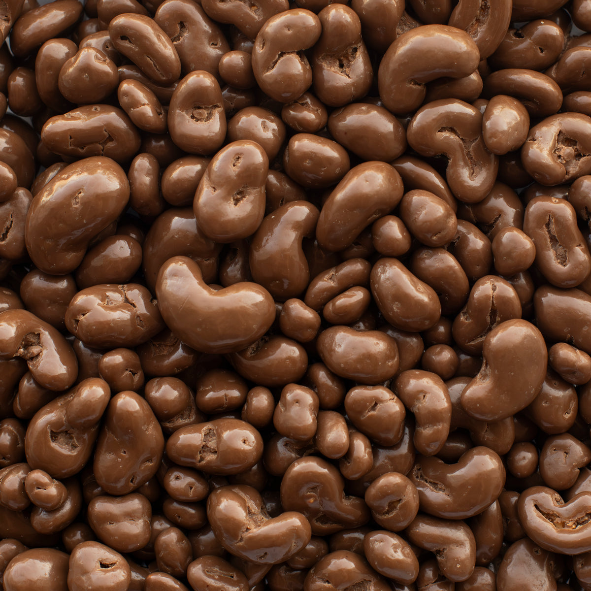 Milk Chocolate Cashews – Nutterie