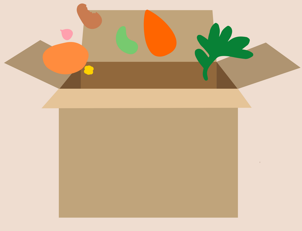 Discovery Boxes – Nutterie